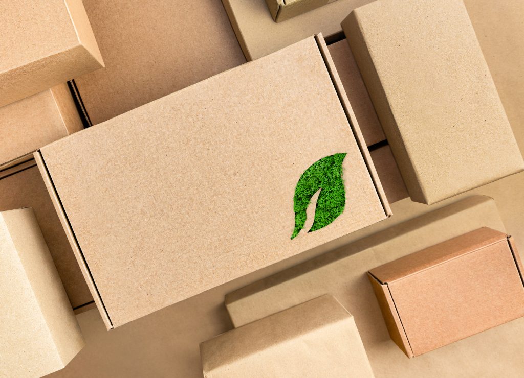 Unwrapping the Future: Biodegradable Materials in Packaging - ITB Packaging